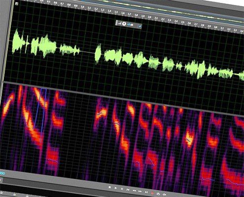 The Animation Process - Voice Over - Lumen3D
